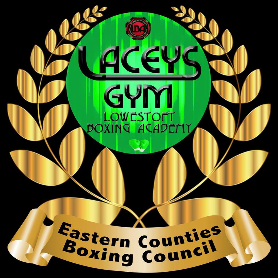 BIBA Affiliated Gyms – British & Irish Boxing Authority