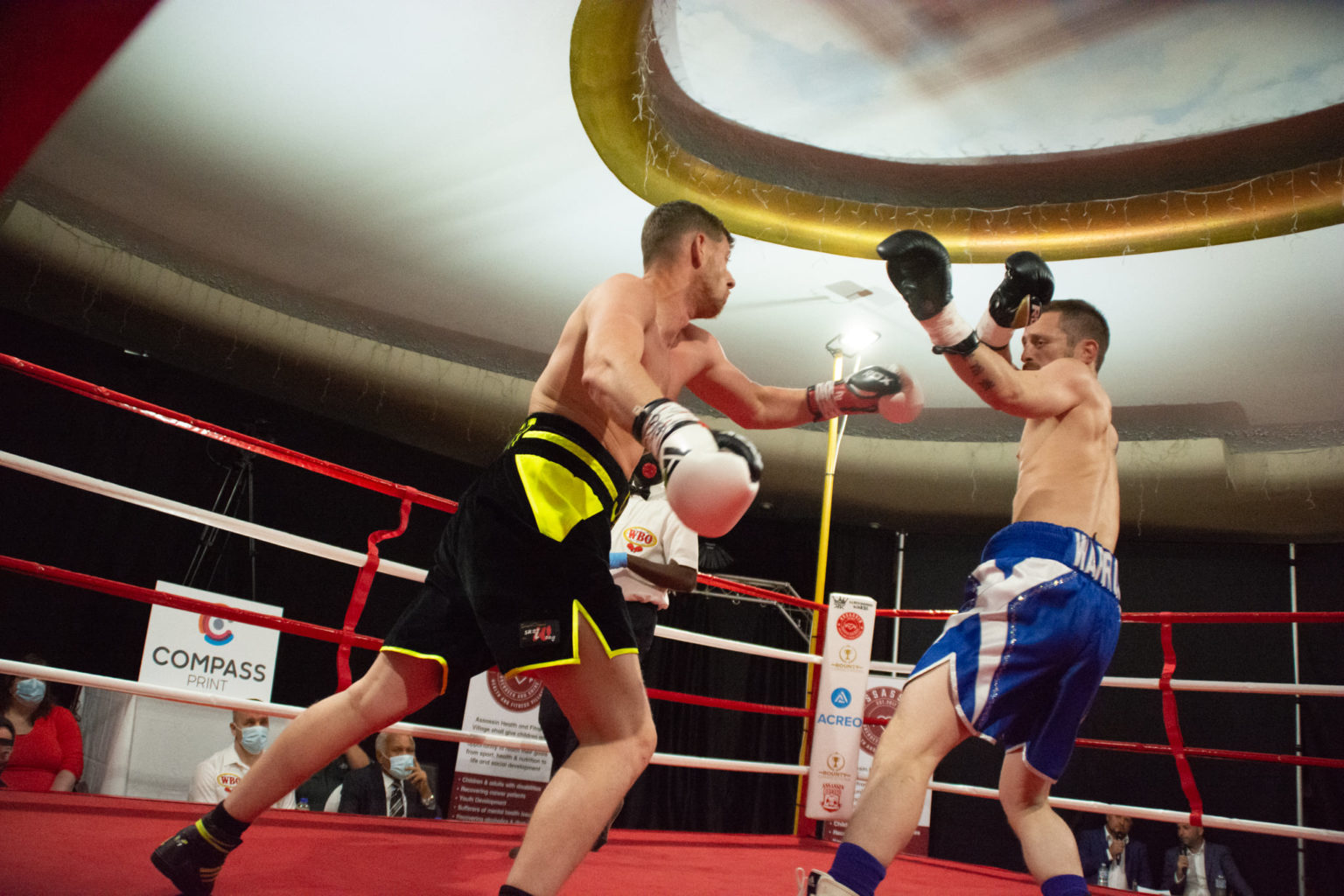 Jay Cartwright – British & Irish Boxing Authority